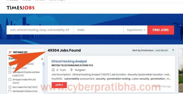 Unveiling Ethical Hacker Salaries: The Truth Behind the 1 Million Per Annum